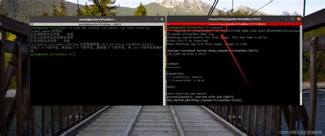 ROS软件包使用使用rqt robot steering软件包控制ROS小乌龟移动速度 在ros index 中控制小乌龟的速度软件包 CSDN博客