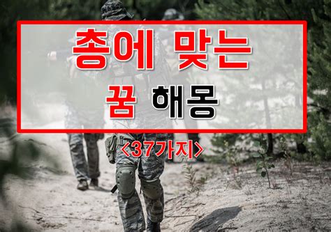 총 맞는 꿈 37가지 해몽 총에 맞는 꿈 총 맞아 죽는 꿈 총 꿈 총알 꿈 총알맞는 꿈 심장에 총맞는 꿈 총알 피하는 꿈 Helpful Information