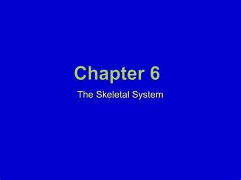 6 The Skeletal System Ppt