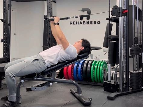 Quadruped Scapular Circles — Rehab Hero
