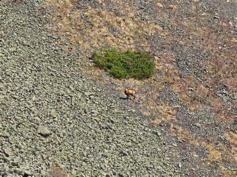 ფშავ ხევსურეთის ეროვნული პარკი Pshav Khevsureti National Park Added A ფშავ ხევსურეთის