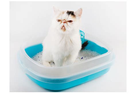厨神猫水晶猫砂3 8L无粉尘晶体猫砂硅胶二氧化硅批发去臭味强吸水 阿里巴巴