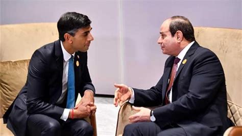 عاجل السيسي ورئيس الوزراء البريطاني يتفقان على تكثيف الحوار المتبادل