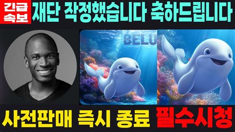 벨루가나 밈코인 Belugana 긴급속보 재단 작정했습니다 축하드립니다 사전판매 즉시 종료 필수시청 코미녀 Youtube