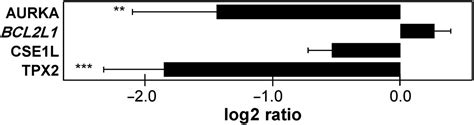 Tpx2 And Aurka Promote 20q Amplicon Driven Colorectal Adenoma To