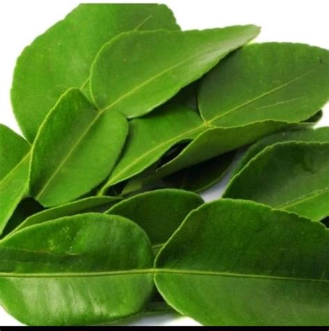 Daun Jeruk Nipis Segar 100 Gram Di Ambil Dadakan Lazada Indonesia
