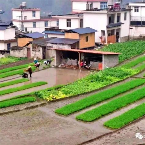 县法院、县水利局积极践行“为民办实事”，合力解决群众急难愁盼问题驻村水沟村民