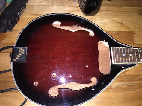 4 String Electric Mandolin