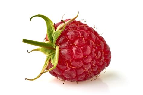 Premium Photo Ripe Juicy Raspberry With A Stalk Isolated On A White
