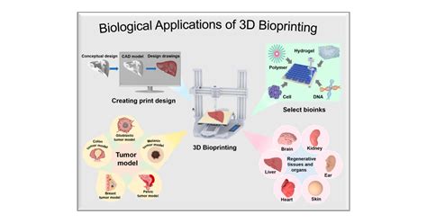 3d Bioprinting In Cancer Modeling And Biomedicine From Print