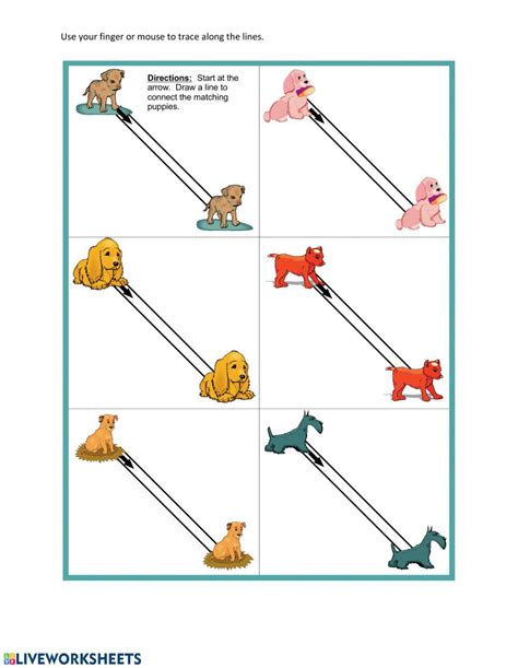 Line Tracing 2 Diagonal Online Exercise For Live Worksheets