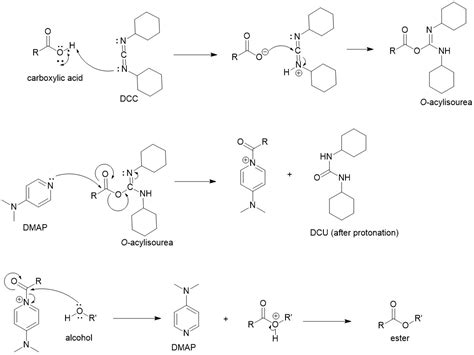 Esterification Reaction My Chemistry Blog