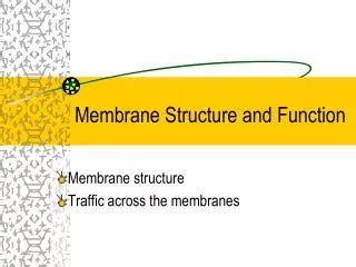PPT Cell Membrane Structure And Function PowerPoint Presentation Free Download ID 436575