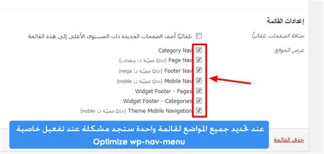 شرح خاصية Optimize wp nav menu متجر مجلة ووردبريس