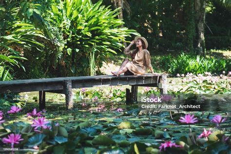 분홍색 연꽃연못의 나무 다리에 앉아있는 아름다운 젊은 아시아 여성의 초상화 이미지 여자에 대한 스톡 사진 및 기타 이미지 여자 연꽃과 연못 Istock