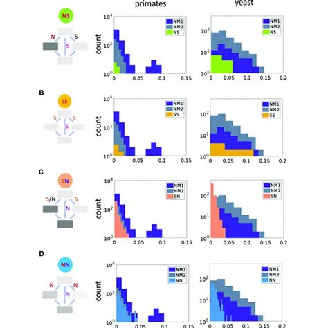 Selective Regimes Of The Codon Double Substitutions In Primates And Download Scientific Diagram