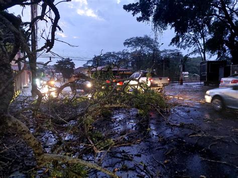 Ventos De Mais De 82km H Causam Destelhamento De Casas Quedas De