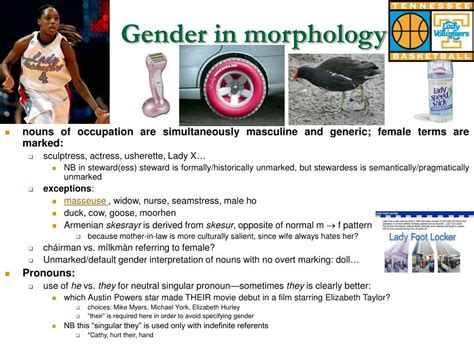 PPT Li2 Language Variation PowerPoint Presentation Free Download ID 998900