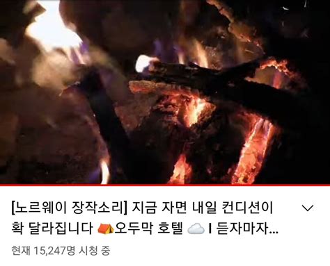 로스트아크 인벤 노르웨이 장작은 뭐가 다르냐 로스트아크 인벤 이슈토론버그 게시판