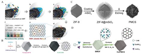 Single Atom Nanozymes Fabrication Characterization Surface Modification And Applications Of