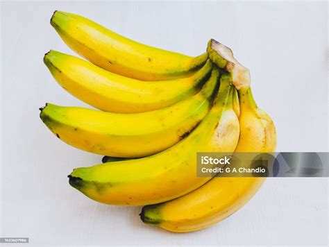 바나나 신선한 노란색 잘 익은 바나나 과일 켈라 바나나 과일 뭉치 힙 캐번디시 무사 유기농 열대 음식 근접 촬영 이미지 사진 0명에 대한 스톡 사진 및 기타 이미지 Istock