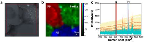 Visual Detection Of Microplastics Using Raman Spectroscopic Imaging