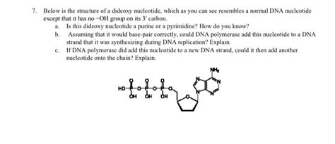 Solved 7 Below Is The Structure Of A Dideoxy Nucleotide
