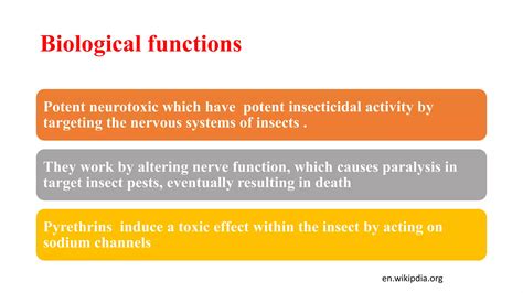 Natural Insecticides Pptx