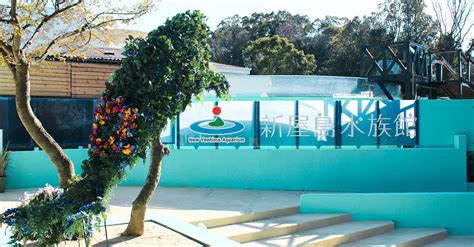 新屋島水族館 Shikoque
