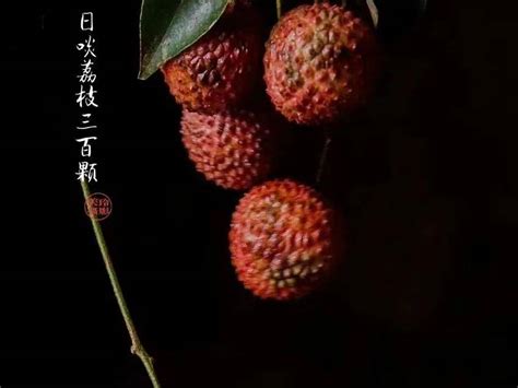 中医谈：荔枝食用水果功效