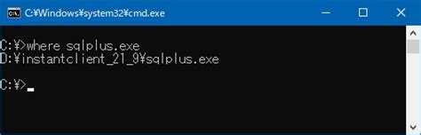 Instant Clientを使用してローカルからaws Rdsのoracleにsqlplusで接続する 現場スパイス ～ Bsof