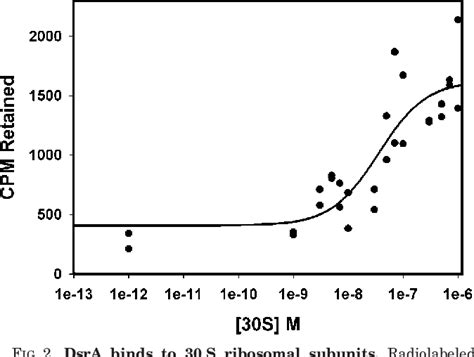 Figure 2 From Interactions Of The Non Coding Rna Dsra And Rpos Mrna