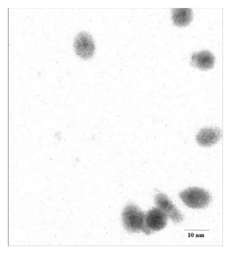 Transmission Electron Microscopy And Uv Visible Spectrum Analysis Of