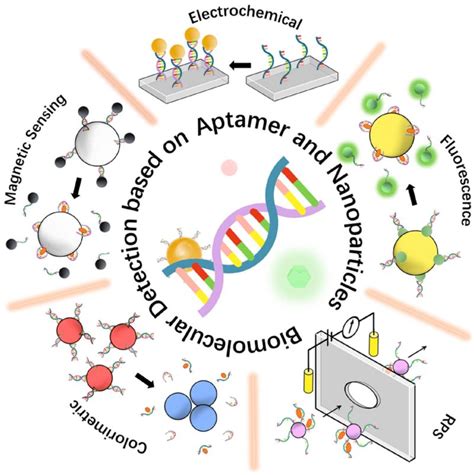 Biosensors Mdpi On Linkedin Review Mdpi Biomolecular Aptamers Nanoparticles Biosensors