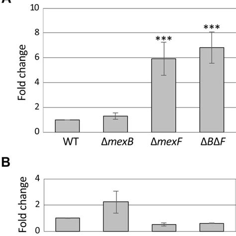 Quantitative Reverse Transcription Pcr Analysis Of Gene Expression Of Download Scientific