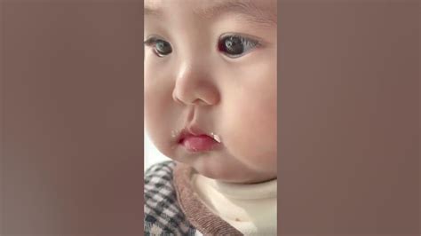 꼬마의 깨물고싶은 볼살 Youtube
