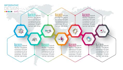 premium vector hexagon inforgraphics on vector graphic art