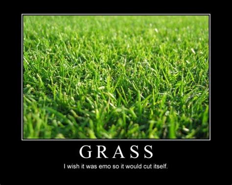 Grass Meme