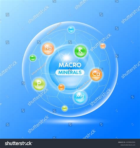 Macro Micro Over 20222 Royalty Free Licensable Stock Vectors And Vector Art Shutterstock