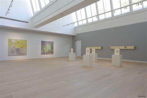 展览推荐 艺术家申玲个展“空花·岁像”手机新浪网