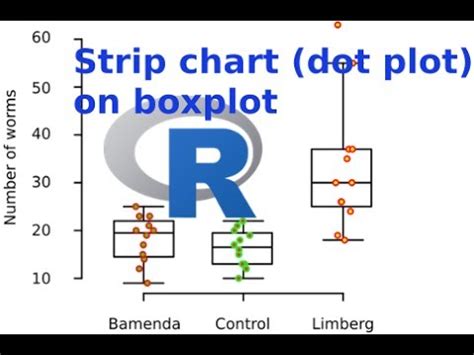 Combine Overlay Boxplot And Strip Chart Dot Plot With The R Software
