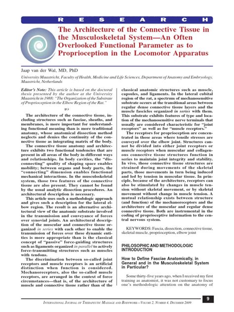 Architecture Of Pdf Connective Tissue Human Musculoskeletal System