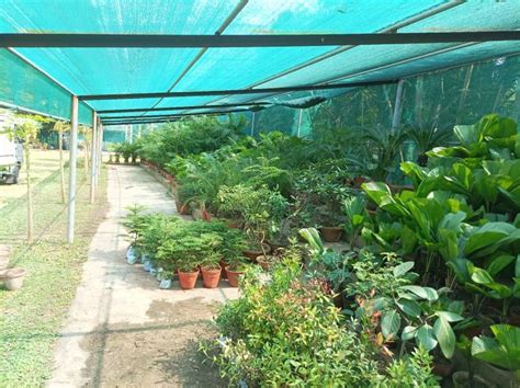 Bhupendra Singh Posted On Linkedin