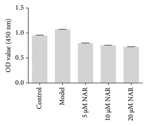 Cell Viability Was Detected Using Cck8 A Od Value For The Different