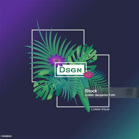 熱帶背景與叢林植物向量圖形及更多夏天圖片 夏天 大自然 式樣 Istock