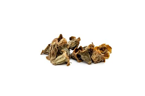 Premium Photo Kumbi Or Careya Arborea On White Background