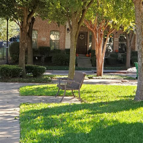 Common Grass Types For Texas Hoas Haven Landscaping And Irrigation