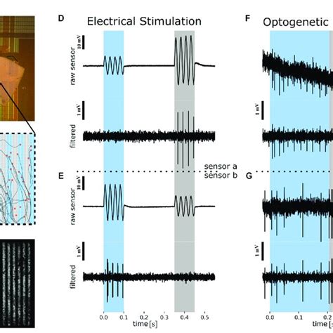 Overview Of The Experimental Protocol Used To Infer The Spatial Download Scientific Diagram