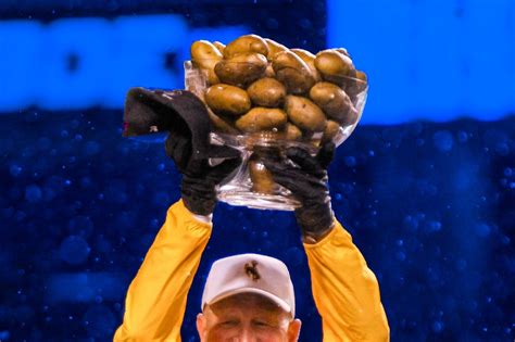 How Bowl Games Work 16 Faqs Answered Banner Society