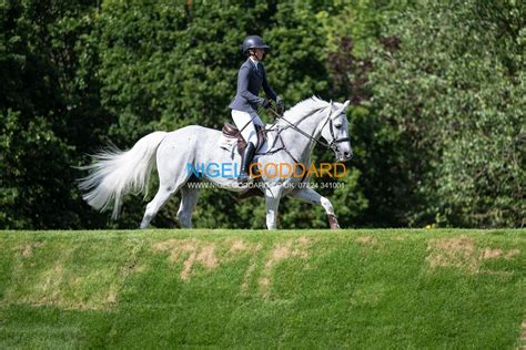 Nigel Goddard Harriet Biddick And Silver Lift